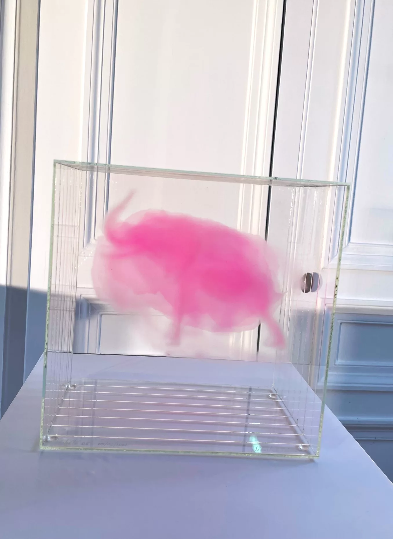 Néphélé éléphant - Galerie Barrou Planquart