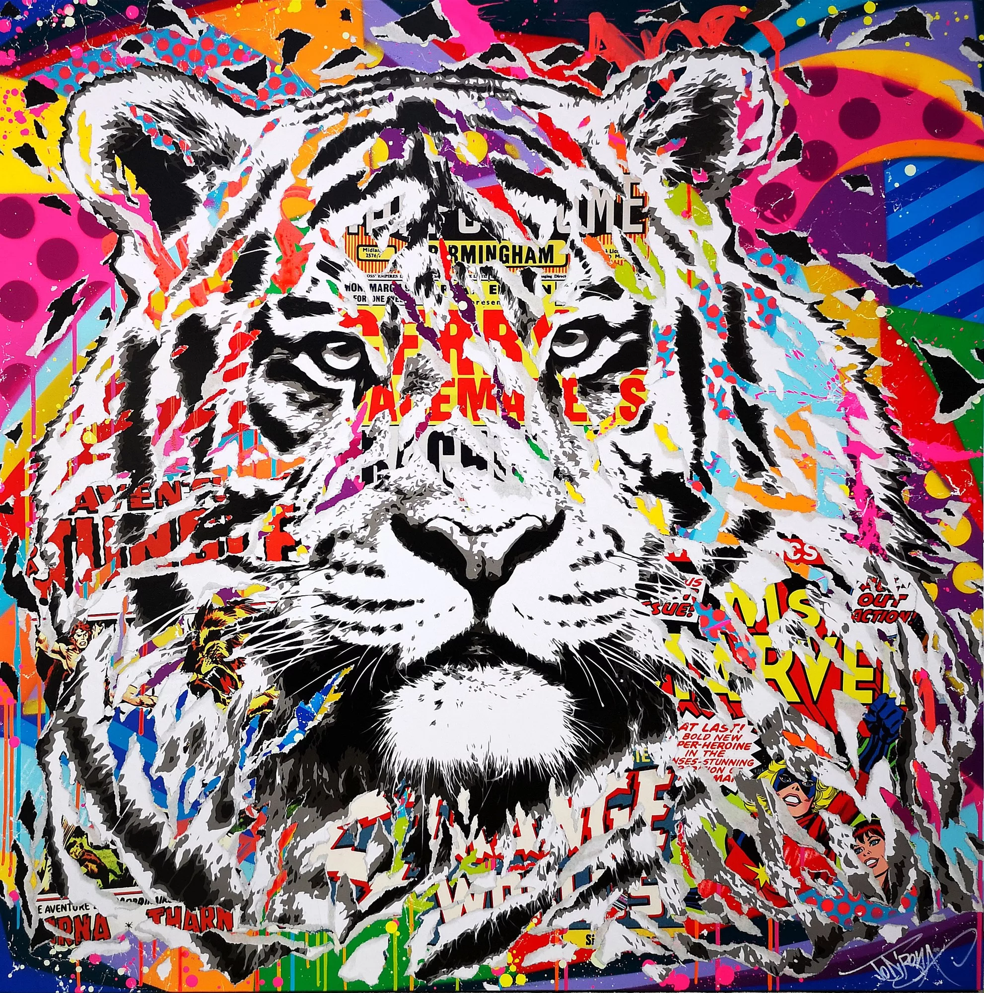 Storm tiger - Galerie Barrou Planquart