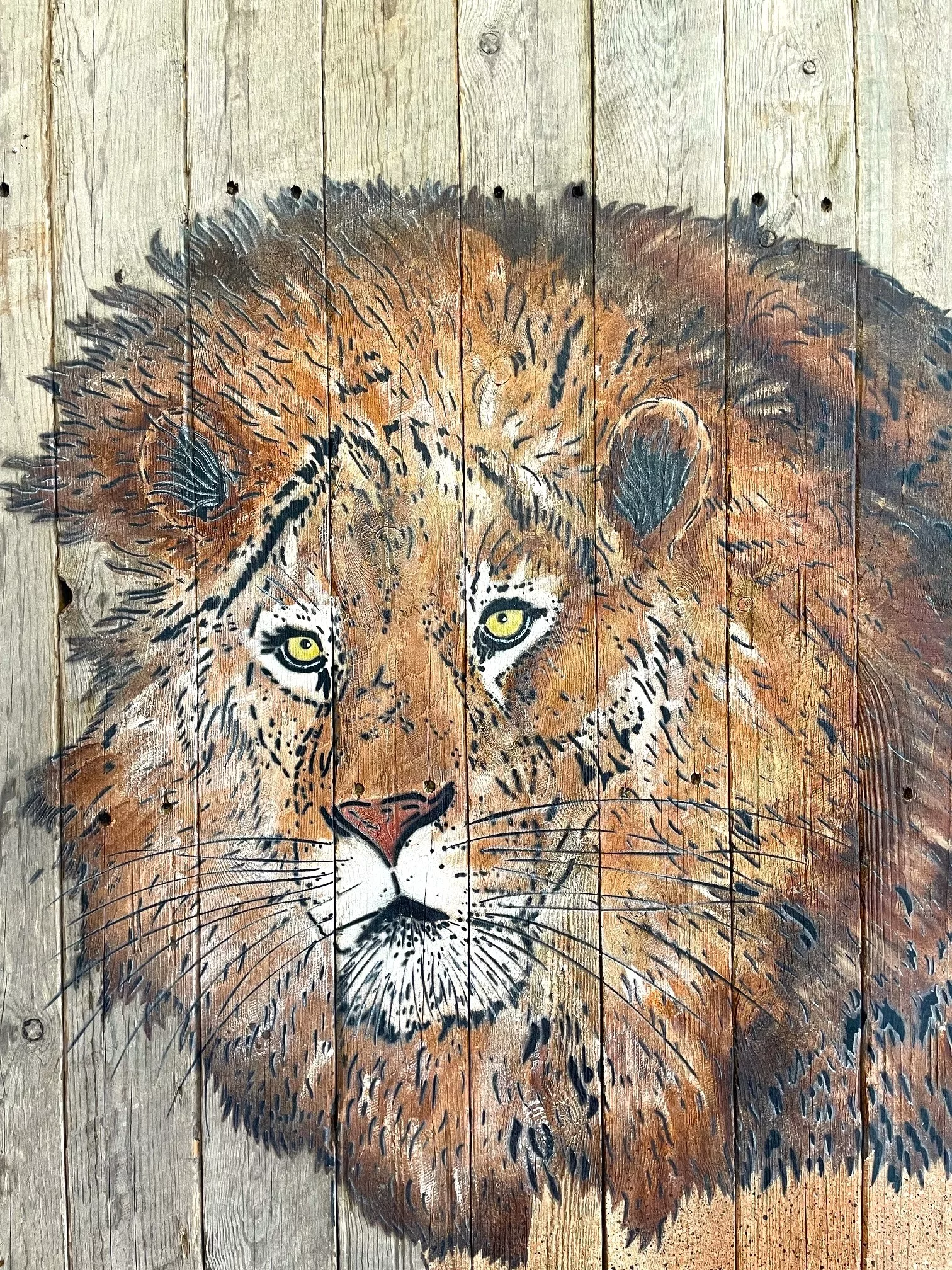 Le lion - Galerie Barrou Planquart